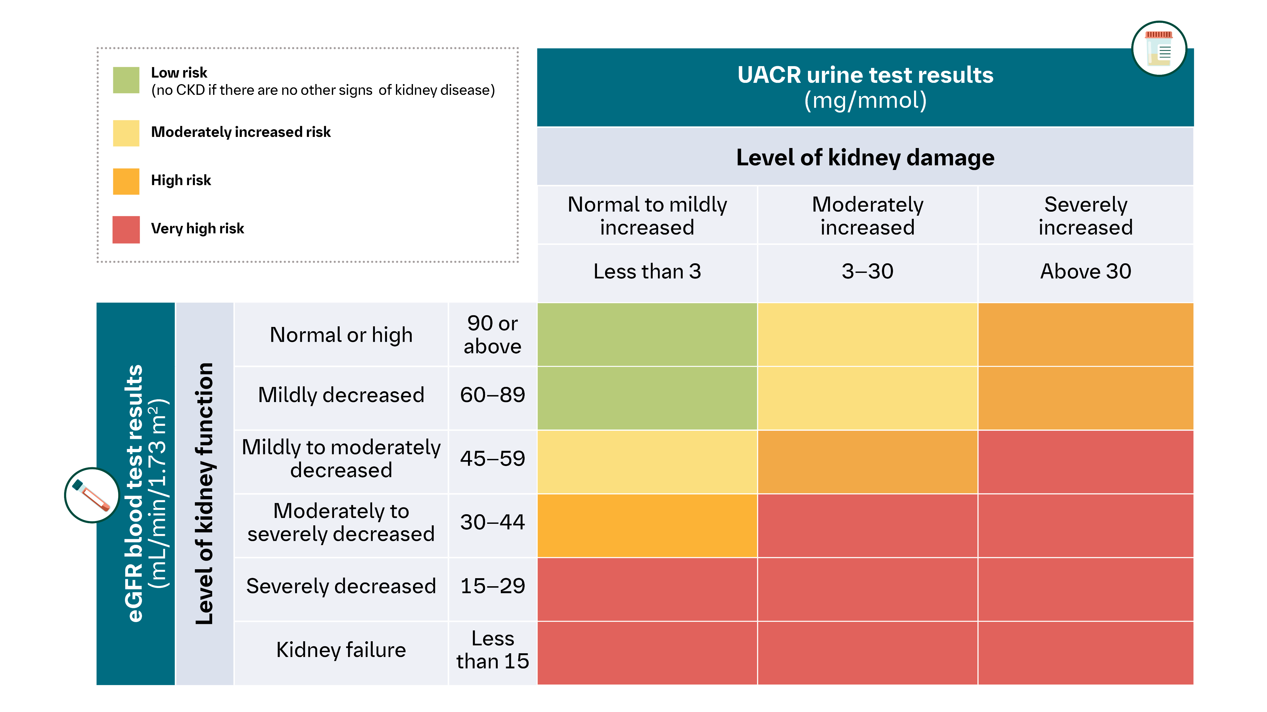 Kidney disease | Stages | Screening – Itsconnected.